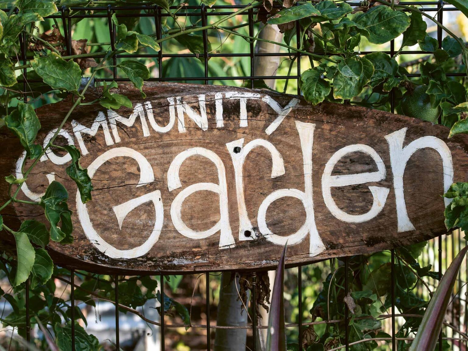 Agriculture - Cultivating Community